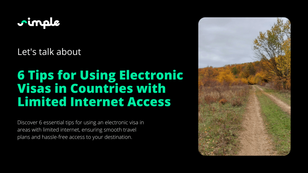 6 Tips for Using Electronic Visas in Countries with Limited Internet ...